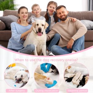 Etdane Recovery Suit for Dog Cat After Surgery Dog Surgical Recovery Onesie Female Male Pet Bodysuit Dog Cone Alternative Abdominal Wounds Protector Pink Stripe/Star/Medium