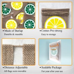 Uniwish Lemon Slices Banner Garland Lemonade Stand Decorations Lemon Theme Bridal Shower Birthday Hanging Bunting Home Outdoor Decor