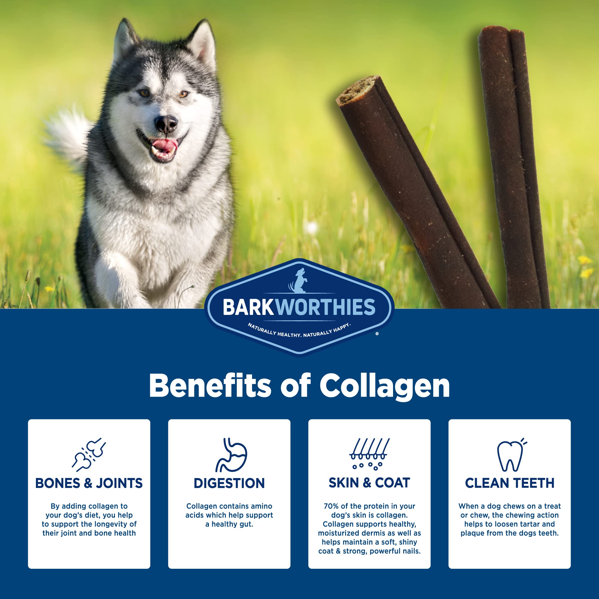 Barkworthies Plain Collagen Stick Dog Treats, 12-Inch, 6-Count