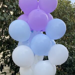 JODIDI 60 Pcs 12 Inch Latex Balloons in Purple, Blue and White, Perfect for Spring, Summer, Birthday, Graduation, Wedding and Baby Shower Party Balloons Decorations(Purple Blue And White)