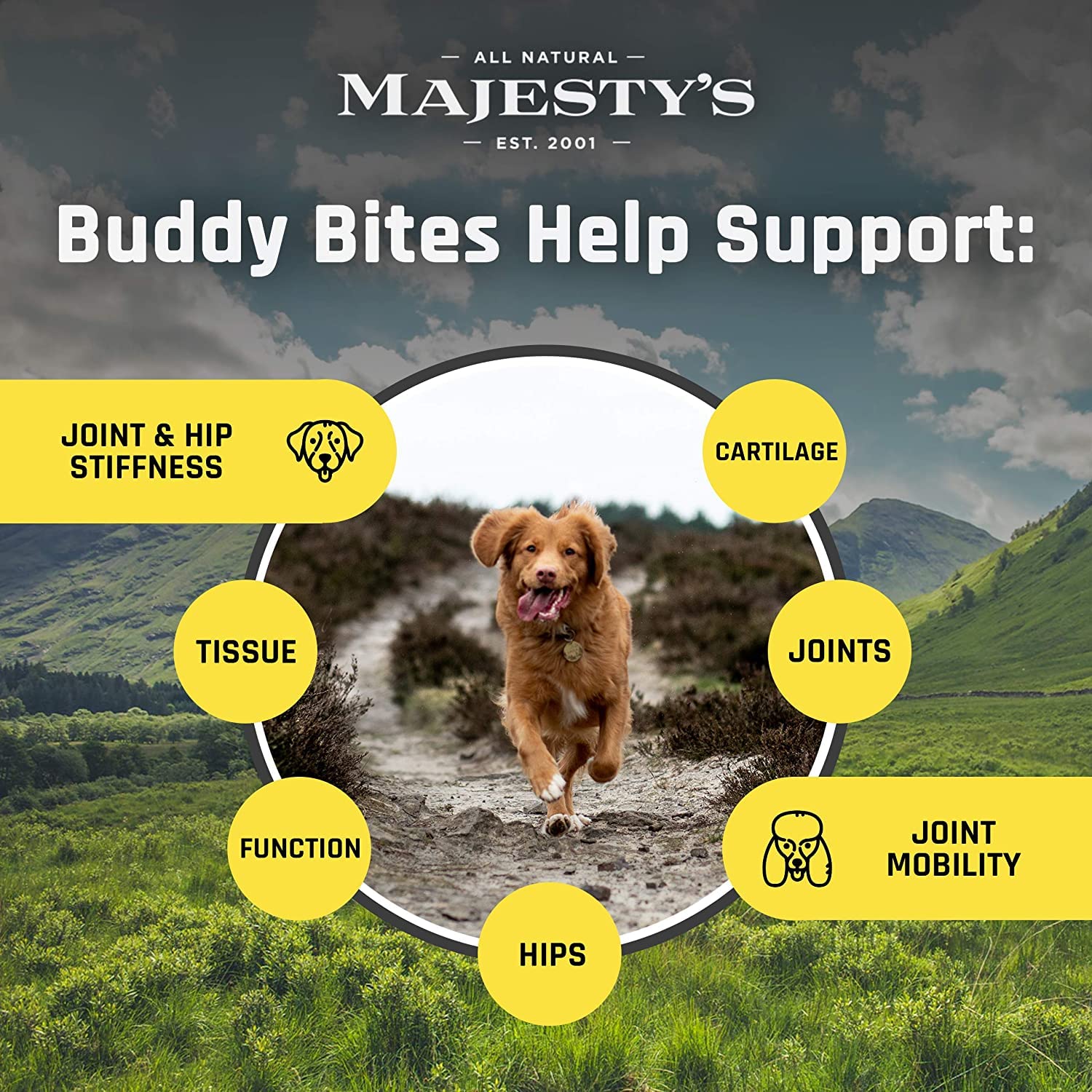 Majesty's Buddy Bites Grain Free Hip & Joint Support Dog Treat Supplement, Carob & Sweet Potato Wafers for Medium & Large Dogs - 112 Count Bag (Up to 16 Week Supply)