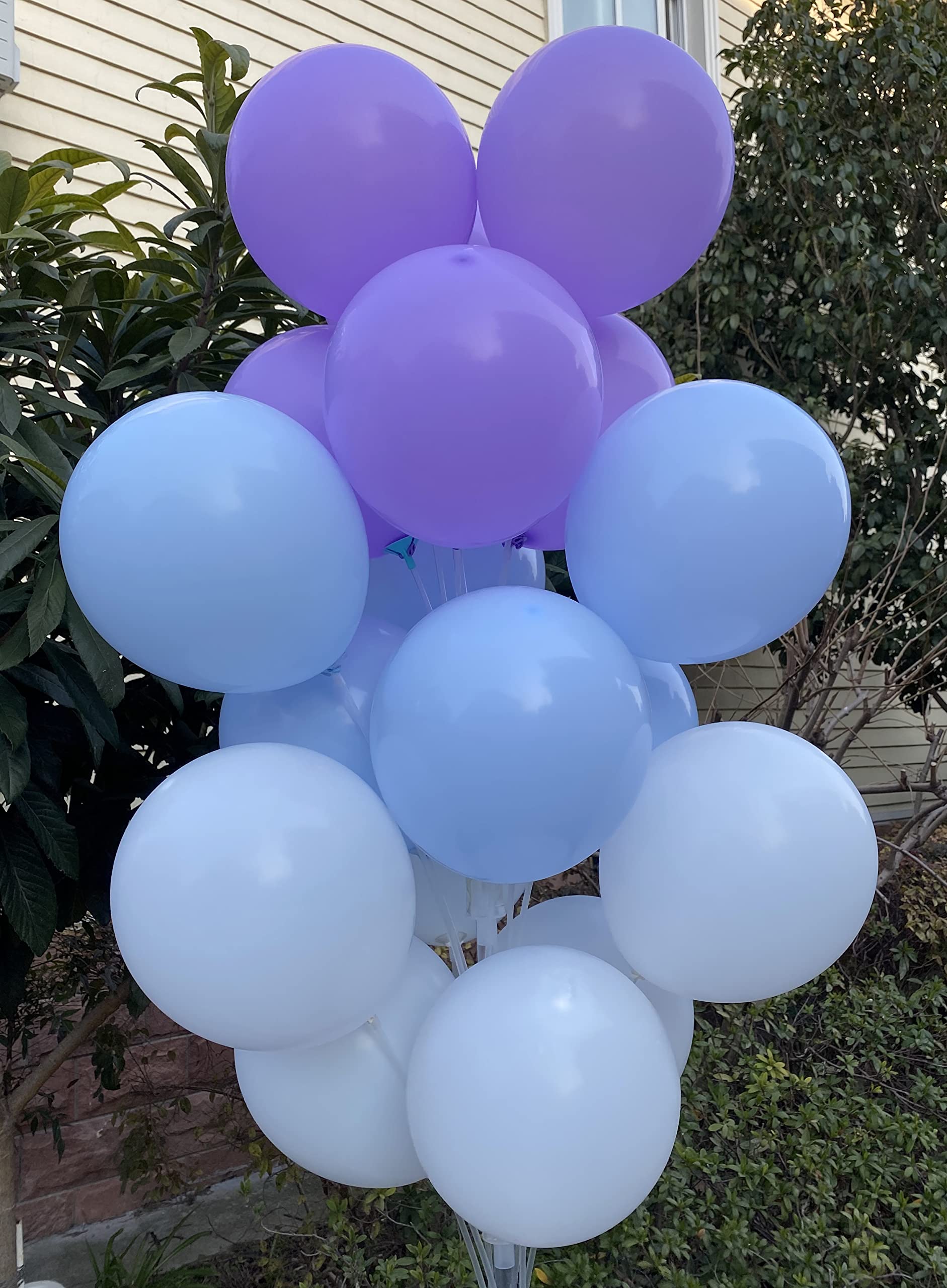 JODIDI 60 Pcs 12 Inch Latex Balloons in Purple, Blue and White, Perfect for Spring, Summer, Birthday, Graduation, Wedding and Baby Shower Party Balloons Decorations(Purple Blue And White)