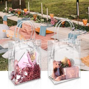 Oomcu 18 Pack Clear Plastic Gift Bags with Handle,9.06" x 6.7" x 2.76" Reusable PVC Wrap Tote Bags for Shopping Retail Goodies Business Boutique Wedding Birthday Baby Shower Party Favor halloween