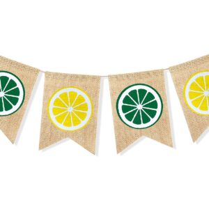 Uniwish Lemon Slices Banner Garland Lemonade Stand Decorations Lemon Theme Bridal Shower Birthday Hanging Bunting Home Outdoor Decor