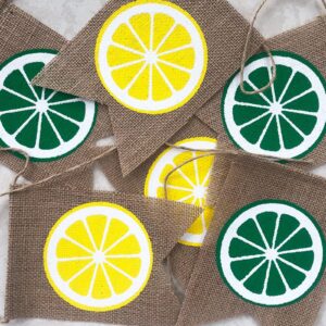 Uniwish Lemon Slices Banner Garland Lemonade Stand Decorations Lemon Theme Bridal Shower Birthday Hanging Bunting Home Outdoor Decor