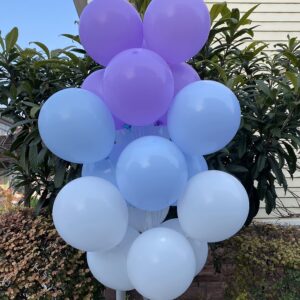 JODIDI 60 Pcs 12 Inch Latex Balloons in Purple, Blue and White, Perfect for Spring, Summer, Birthday, Graduation, Wedding and Baby Shower Party Balloons Decorations(Purple Blue And White)