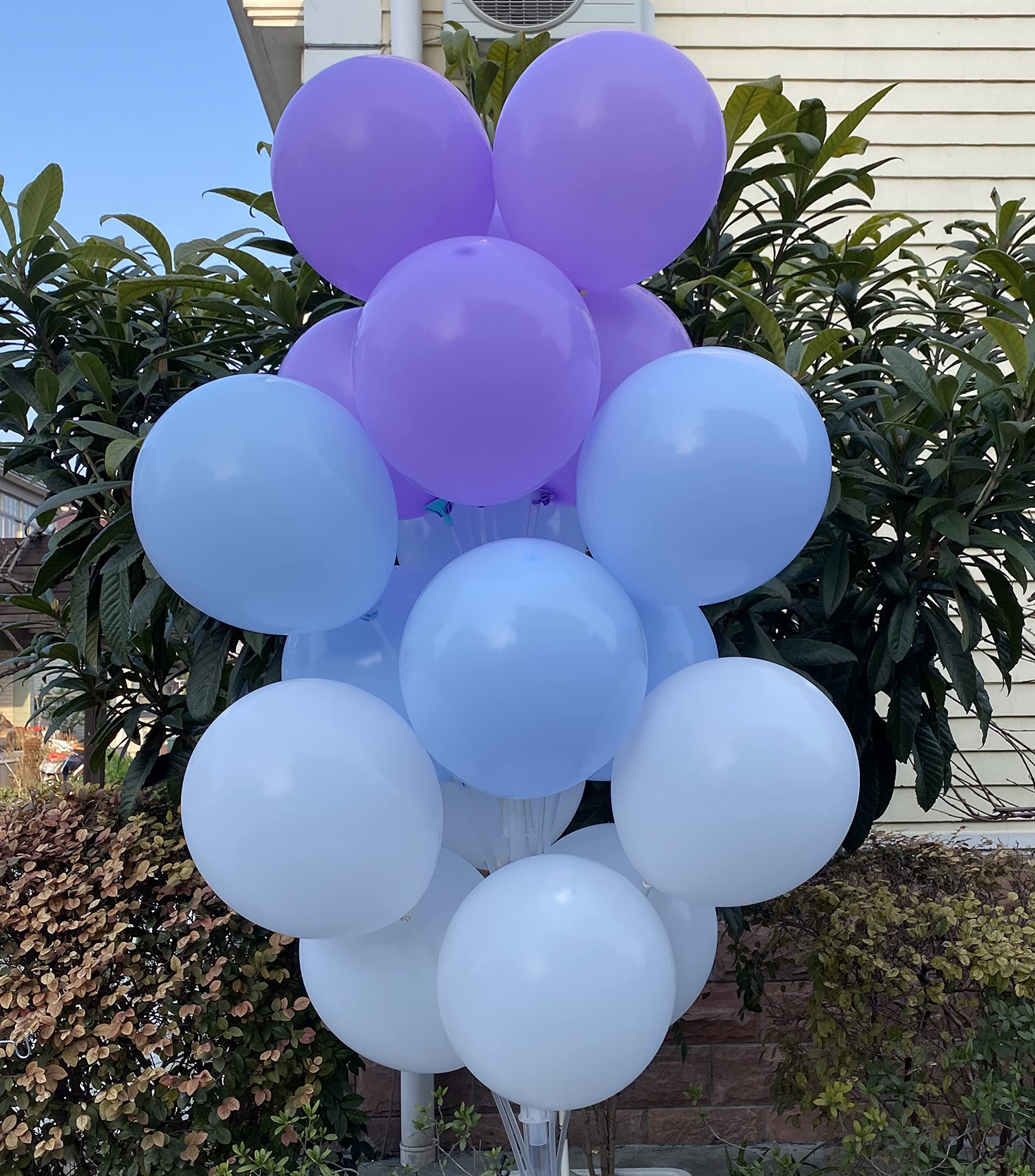 JODIDI 60 Pcs 12 Inch Latex Balloons in Purple, Blue and White, Perfect for Spring, Summer, Birthday, Graduation, Wedding and Baby Shower Party Balloons Decorations(Purple Blue And White)