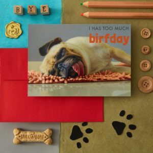 NIQUEA.D, Pug on Rug Birthday Card