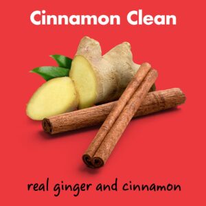 Chewsday Extra-Small Cinnamon Clean Daily Dental Dog Chews, Made in The USA, Natural Highly-Digestible Oral Health Treats for Healthy Gums and Teeth - 28 Count