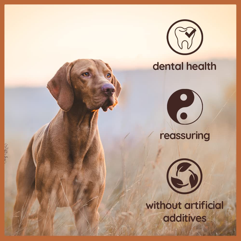 Wildfang® Chewing Root from The Tree Heather for Dogs, Robust and Durable Chewing Root for Dogs, Splinter-Free Chewing Wood as a Dog Toy for Optimal Dental Care for Dogs and Puppies (M)