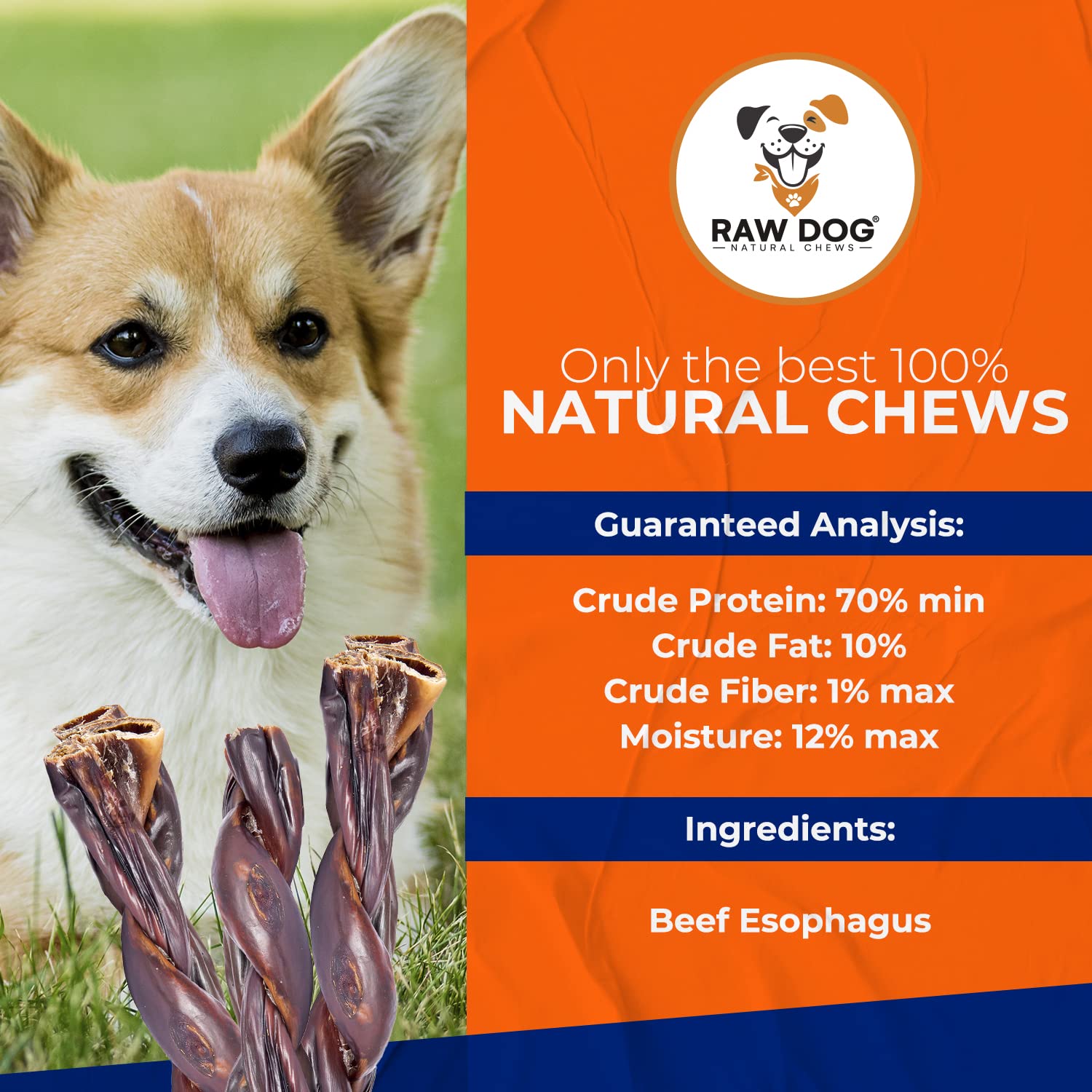 Raw Dog 6" Braided Beef Gullet Sticks (3 Pack) – 100% All Natural Dog Treats & Dental Chews, Non-GMO Grass Fed Beef, Chemical Free Low Odor