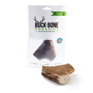 buck bone organics dog chews, moose antlers for dogs, long lasting dog bones for aggressive chewers, all natural, no preservatives, wild shed in the usa (medium)