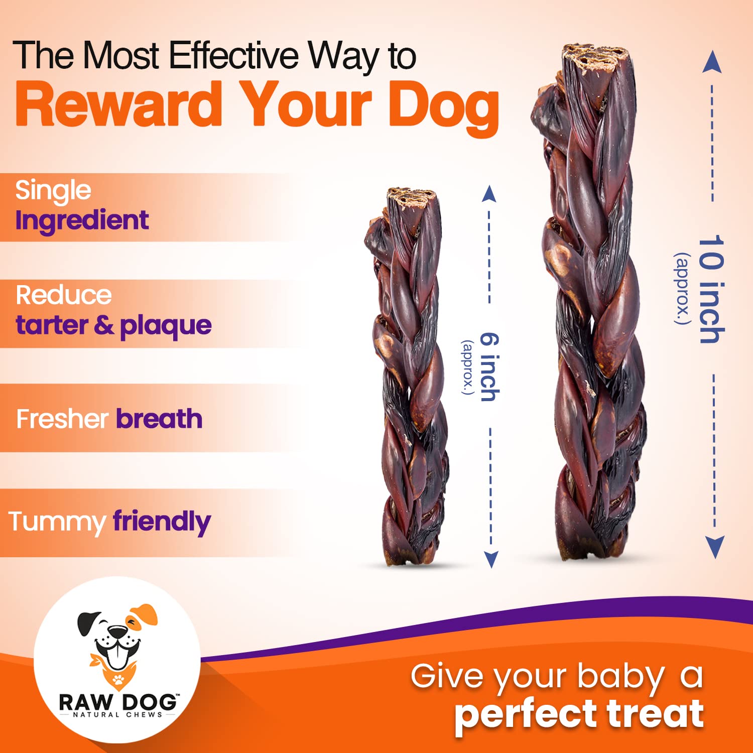 Raw Dog 6" Braided Beef Gullet Sticks (3 Pack) – 100% All Natural Dog Treats & Dental Chews, Non-GMO Grass Fed Beef, Chemical Free Low Odor