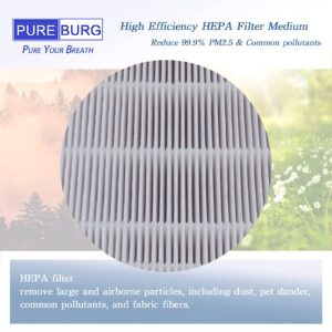 PUREBURG Replacement Filter Compatible with Filtrete F1 Filter Fits FAP-C01-F1 & FAP-T02-F1 FAPF-F2-A FAP-C01-F2 & FAP-T03-F2 Air Purifiers,2-Pack H13 HEPA + 8 Carbon Pre-Filters