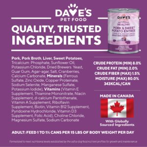 Dave's Pet Food Grain Free Wet Dog Food (Pork & Sweet Potato in Broth), Made in Canada Naturally Healthy Canned Dog Food, Added Vitamins & Minerals, Wheat & Gluten-Free, 13.2 oz (Case of 12)