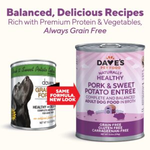 Dave's Pet Food Grain Free Wet Dog Food (Pork & Sweet Potato in Broth), Made in Canada Naturally Healthy Canned Dog Food, Added Vitamins & Minerals, Wheat & Gluten-Free, 13.2 oz (Case of 12)