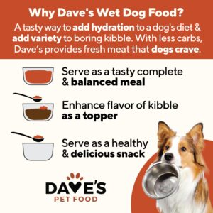 Dave's Pet Food Grain Free Wet Dog Food (Pork & Sweet Potato in Broth), Made in Canada Naturally Healthy Canned Dog Food, Added Vitamins & Minerals, Wheat & Gluten-Free, 13.2 oz (Case of 12)