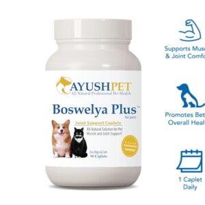 Ayush Pet Boswelya Plus, Joint and Muscle Support for Pets, Ayurvedic Pet Supplement with Boswellia, Ginger, and Bromelain, Large or Small Animals, 90 Vegetarian Caplets