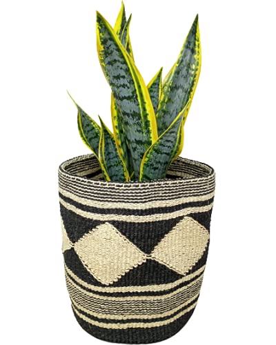 Basket planter, Round woven Basket 9" x 9" Ideal for Plant Pot cover, small storage, Rustic brown décor, woven basket for indoor plants