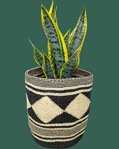 Basket planter, Round woven Basket 9" x 9" Ideal for Plant Pot cover, small storage, Rustic brown décor, woven basket for indoor plants