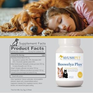 Ayush Pet Boswelya Plus, Joint and Muscle Support for Pets, Ayurvedic Pet Supplement with Boswellia, Ginger, and Bromelain, Large or Small Animals, 90 Vegetarian Caplets