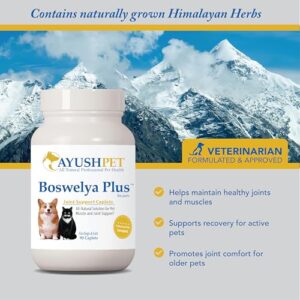 Ayush Pet Boswelya Plus, Joint and Muscle Support for Pets, Ayurvedic Pet Supplement with Boswellia, Ginger, and Bromelain, Large or Small Animals, 90 Vegetarian Caplets