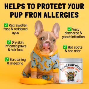 Allergy Relief Chews for Dogs & Immune & Digestive Supplement with Wild Salmon Oil Kelp Colostrum Turmeric Probiotics & Bee Pollen for Seasonal Allergies Anti Itch, Skin Hot Spots 30 Soft Treats