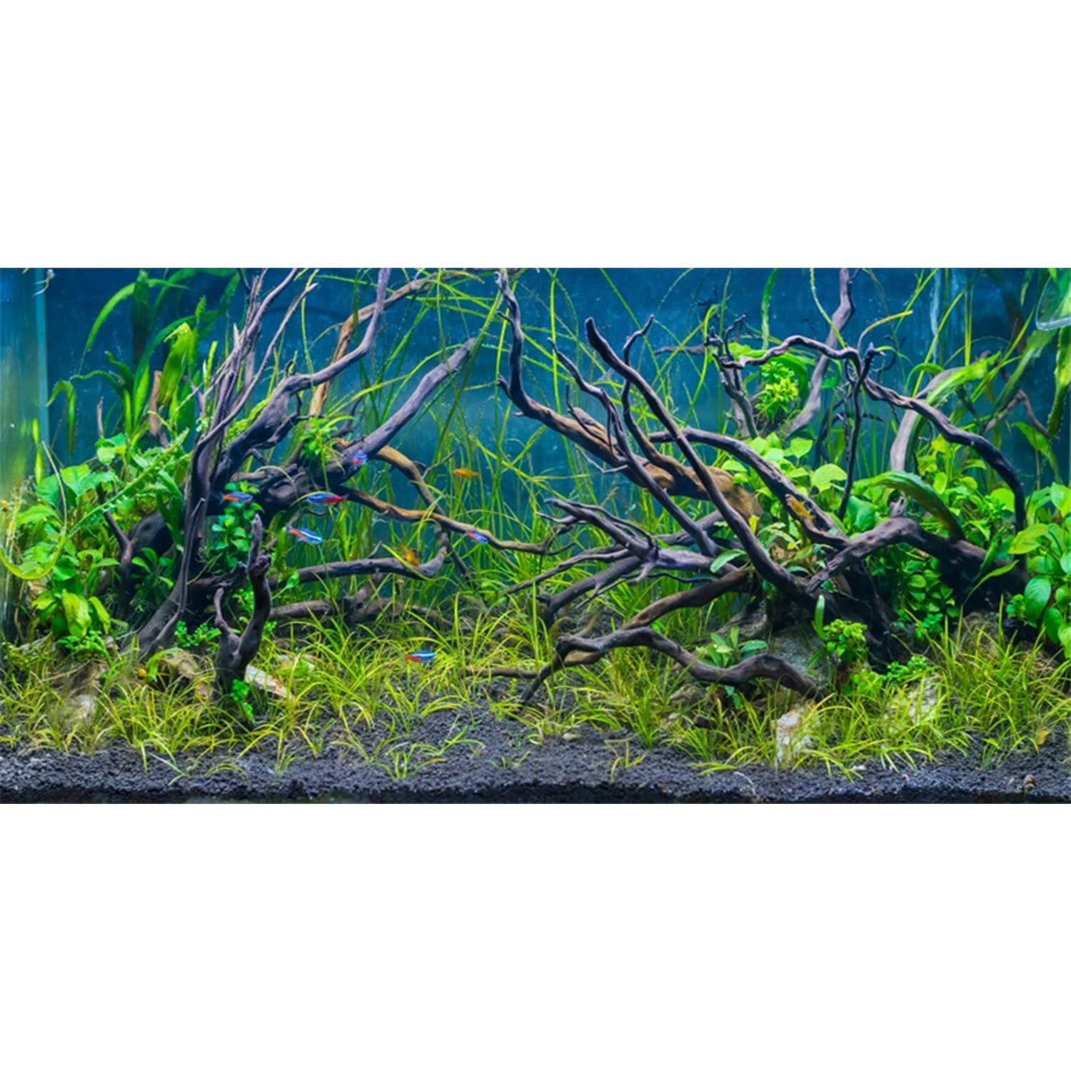 AWERT 24x12 inches Tropical Fish Tank Background River Bed & Lake Aquatic Plant Undersea Tree Branch Aquarium Background Vinyl