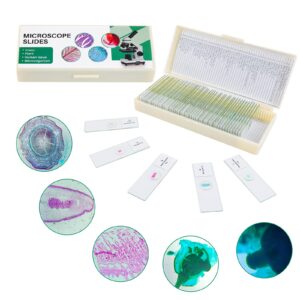 50 prepared microscope slides with specimens for kids students - plants insects fish animals human tissue cells samples, for biological science lab, children education, homeschool