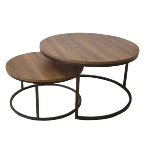 Nathan James Stella Round Modern Nesting Coffee (Set of 2), Stacking Living Room Accent Tables with Tabletops and Matte Metal Frame, Reclaimed Oak/Gunmetal