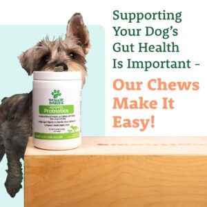 Doggie Dailies Glucosamine for Dogs & Probiotics for Dogs Bundle