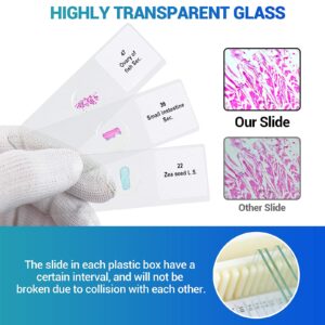 50 Prepared Microscope Slides with Specimens for Kids Students - Plants Insects Fish Animals Human Tissue Cells Samples, for Biological Science Lab, Children Education, Homeschool