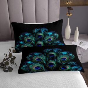 Erosebridal Peacock Feather Coverlet Set Wild Animal Bedspread for Boys Girls Youth,Wildlife Bedding Set Fashion Novelty Luxury Bedroom Decor Queen Size Blue Green Teal Black