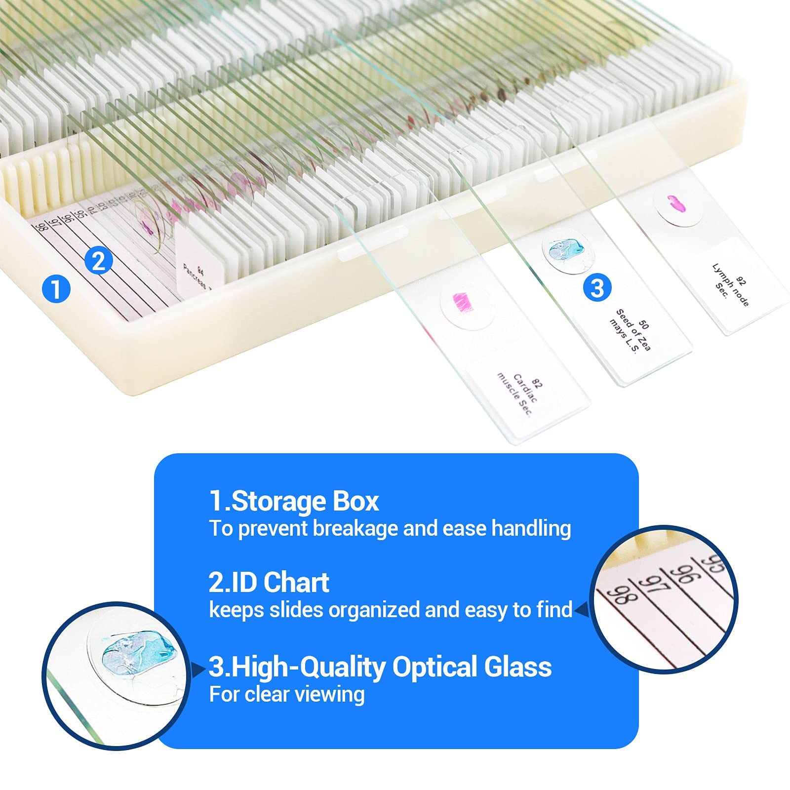 100 Prepared Microscope Slides with Specimens for Kids Adults - Bacterium, Fungus, Human Tissues, Mitosis, Plants, Insects, Animals Cells Samples for Biological Science Lab, School Students