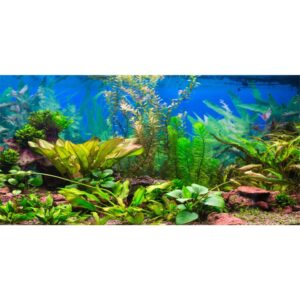 awert 60x24 inches aquarium background aquatic plant river bed & lake fish tank background vinyl