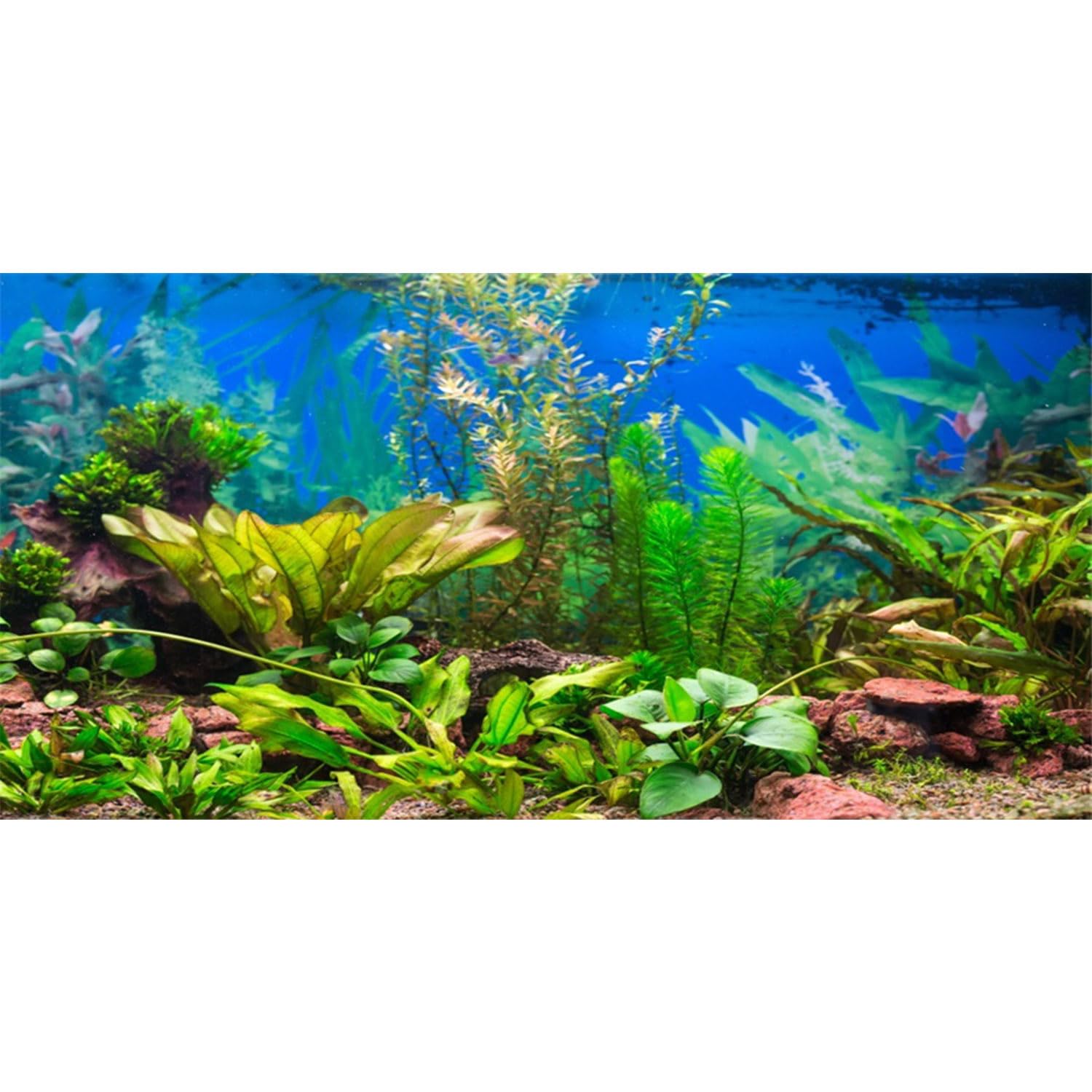 AWERT 60x24 inches Aquarium Background Aquatic Plant River Bed & Lake Fish Tank Background Vinyl