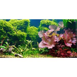 awert 48x24 inches aquatic plant aquarium background river bed & lake fish tank background vinyl