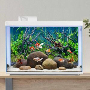 AWERT 24x12 inches Tropical Fish Tank Background River Bed & Lake Aquatic Plant Undersea Tree Branch Aquarium Background Vinyl