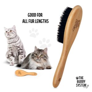 The Buddy System Cat Brush with Boar Bristle and Wooden Handle, Professional Grade Daily Grooming Hairbrush, Reduce Shedding, Soft Hair and Healthy Shine (1 Pack)