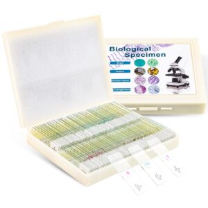 100 prepared microscope slides with specimens for kids adults - bacterium, fungus, human tissues, mitosis, plants, insects, animals cells samples for biological science lab, school students