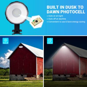 Ankishi LED Barn Light, Dusk to Dawn Outdoor Lighting with 100W 12000LM 5000K Daylight, IP65 Waterproof Area Street Light for Barns Street Yard Garage Warehouse Outdoor Security Flood Lights(2Pack)