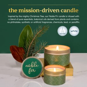 Paraffin-Free Scented Candle in Gold Tin, Vegan Palm Wax Candles, Spicy & Christmassy Scented Candles, Holiday or Birthday Gifts for Women & Men, 30-Hour Burn Time, 6 oz - GoodLight (Noble Fir)