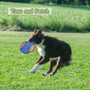 LECHONG Rope Dog Toys for Aggressive Chewers Large Breed Medium Breed, Small Dog Puppy Teething Chew Toys Heavy Duty Dental Dog Rope Toys Prevents Boredom and Relieves Stress