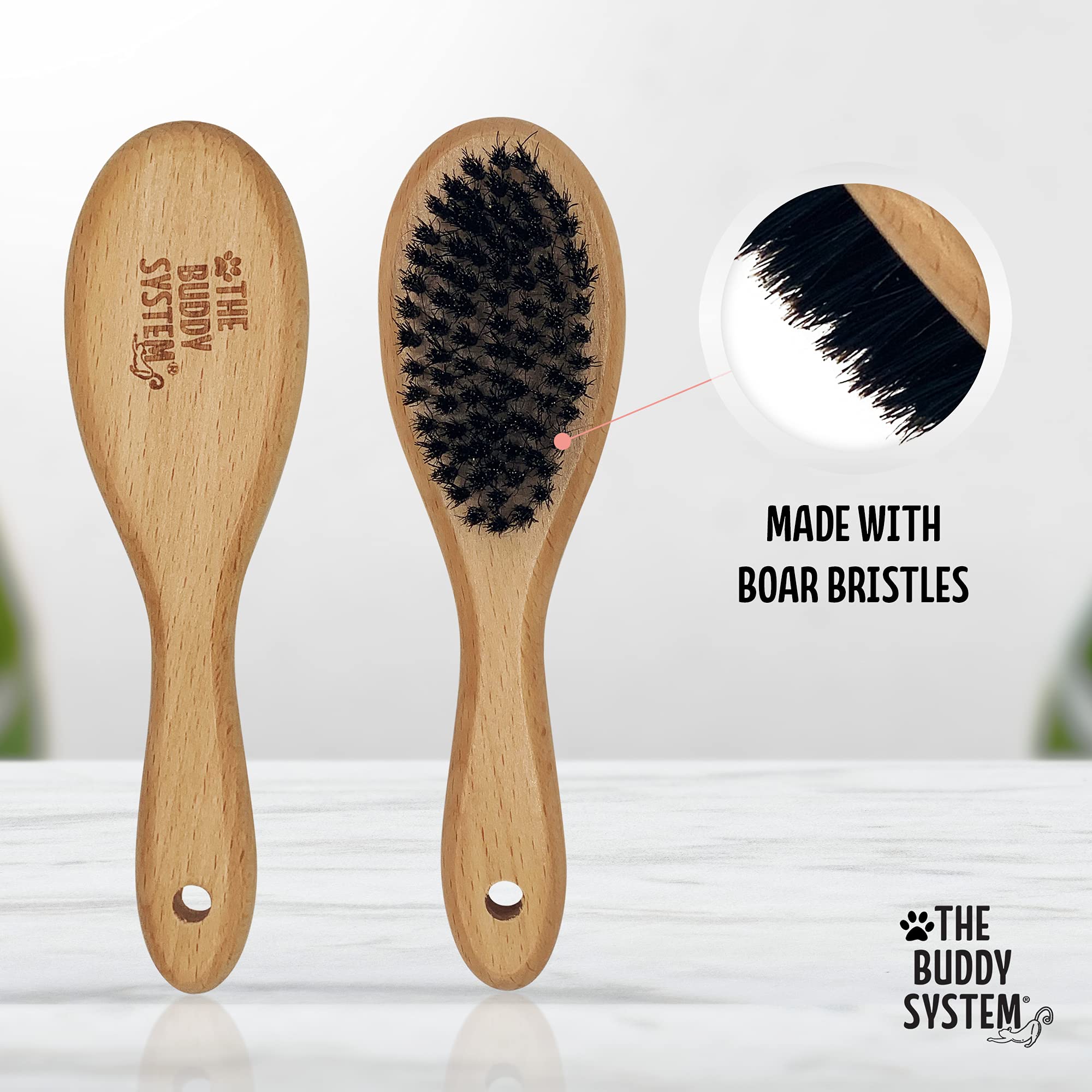 The Buddy System Cat Brush with Boar Bristle and Wooden Handle, Professional Grade Daily Grooming Hairbrush, Reduce Shedding, Soft Hair and Healthy Shine (1 Pack)