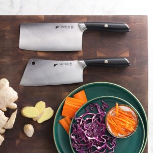 SAVEUR SELECTS 1026290 German Steel Forged 2-Piece Cleaver Set