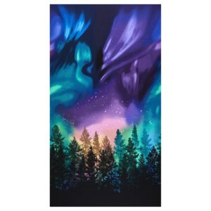 timeless treasures aurora borealis 24" panel multi, fabric