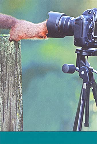 Recycled Paper Greetings Squirrel Sticking Head into Camera Lens Cover Humorous : Funny Birthday Card