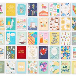 American Greetings Deluxe All Occasion Cards with Envelopes - Birthday, Thanks, Congrats and More (40-Count)