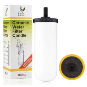 British Berkefeld Doulton W9120133 Ultra Fluoride Ceramic Drinking Water Filter Candle Cartridge