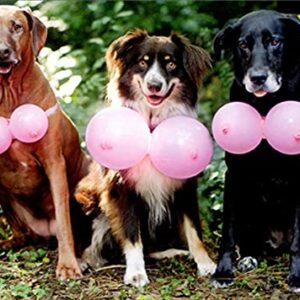 Avanti Press Three Dogs Wearing Pink Balloons Feminine Funny : Humorous Birthday Card for Woman / Her